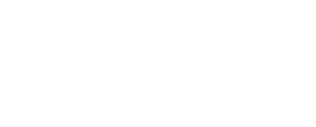 Best Business Consulting Company | VINGRO